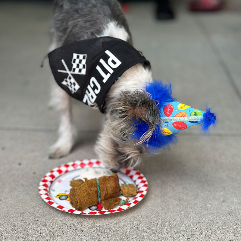 Dog Snacks & Pet Bistro in El Paso | Bark, Meow, 'N Beyond