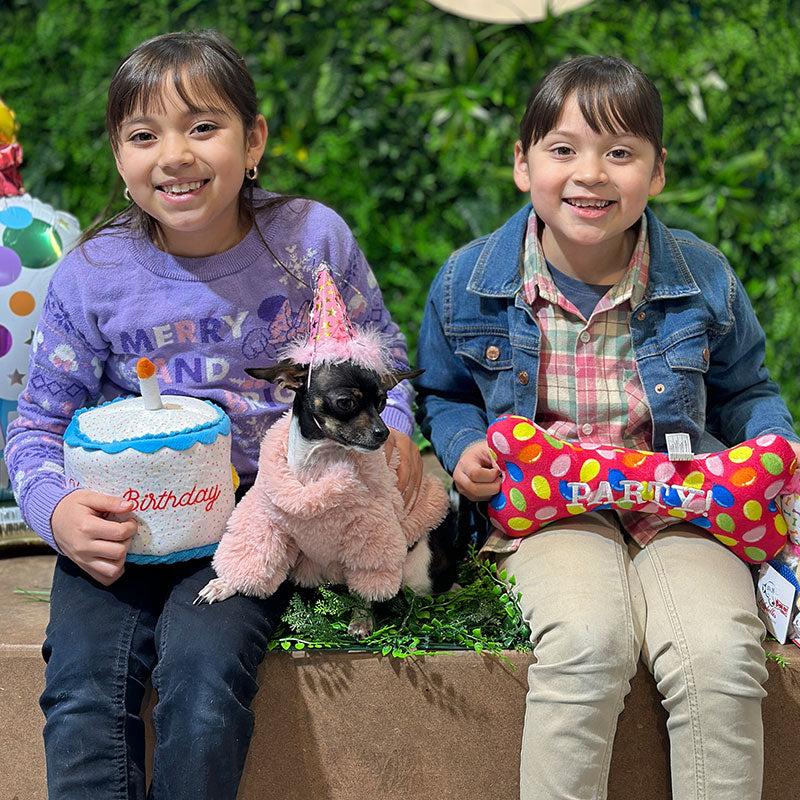 Dog Picture Services in El Paso | Bark, Meow, 'N Beyond
